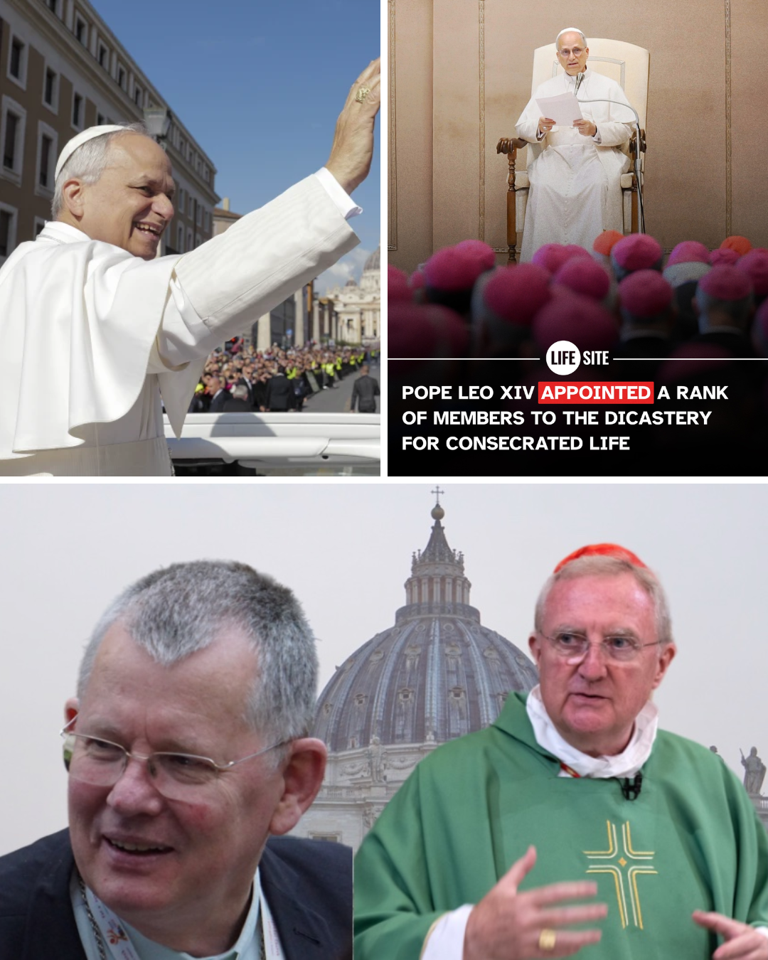 Pope Leo appoints Cardinal Roche, same-sex ‘blessing’ supporters to ...