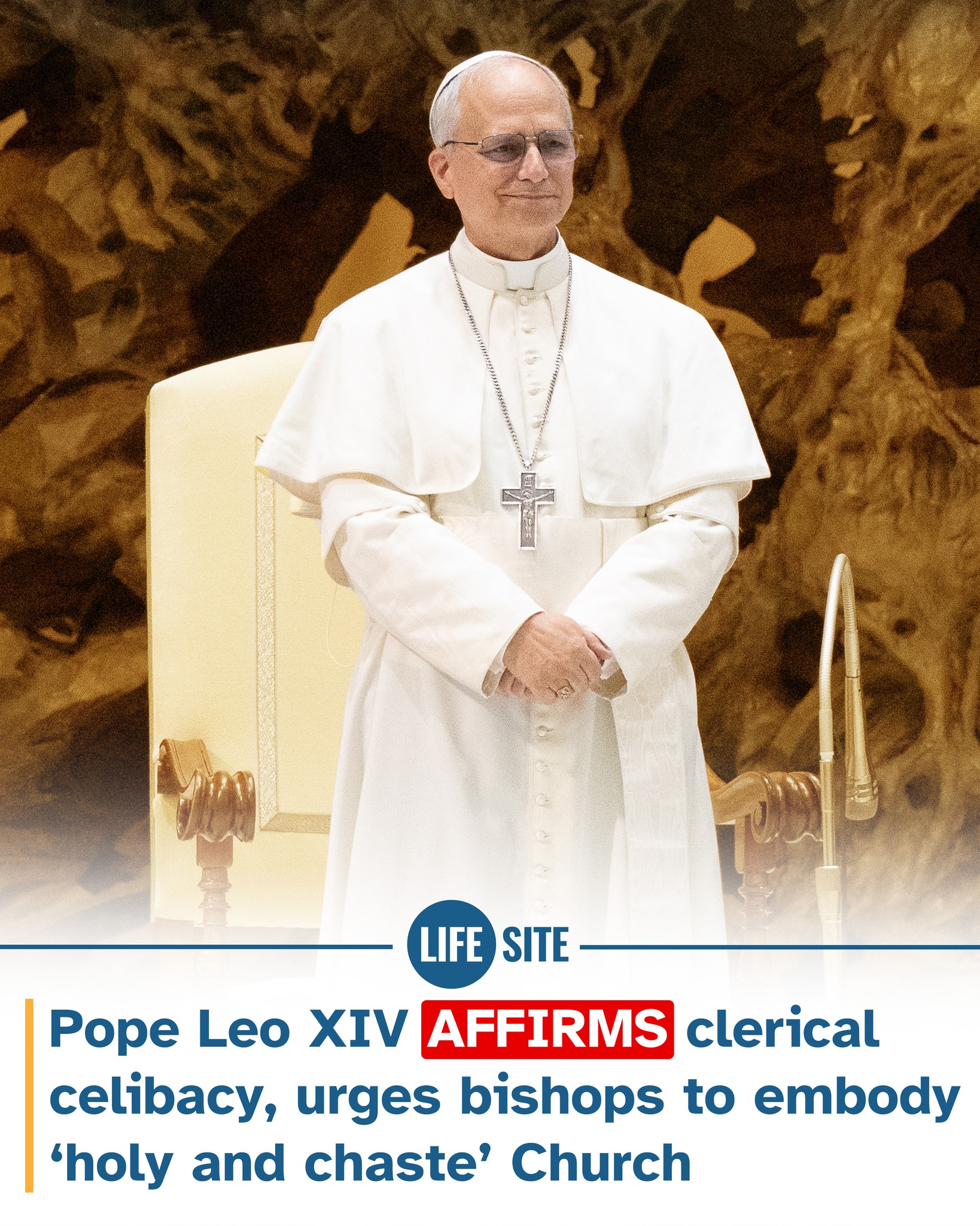 Pope Leo XIV affirms clerical celibacy, urges bishops to embody ‘holy and chaste’ Church